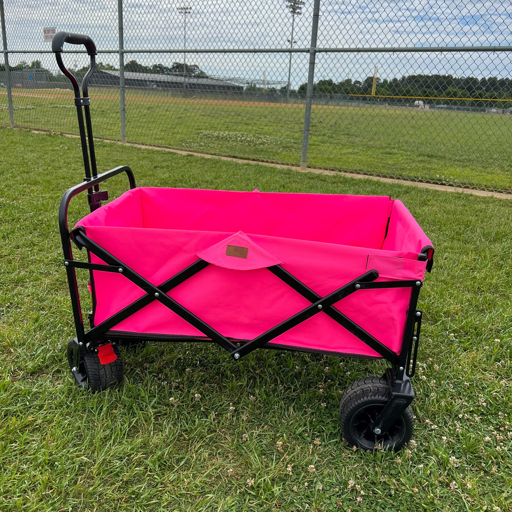 Hot Pink Tailgate Wagon - The Last Stag